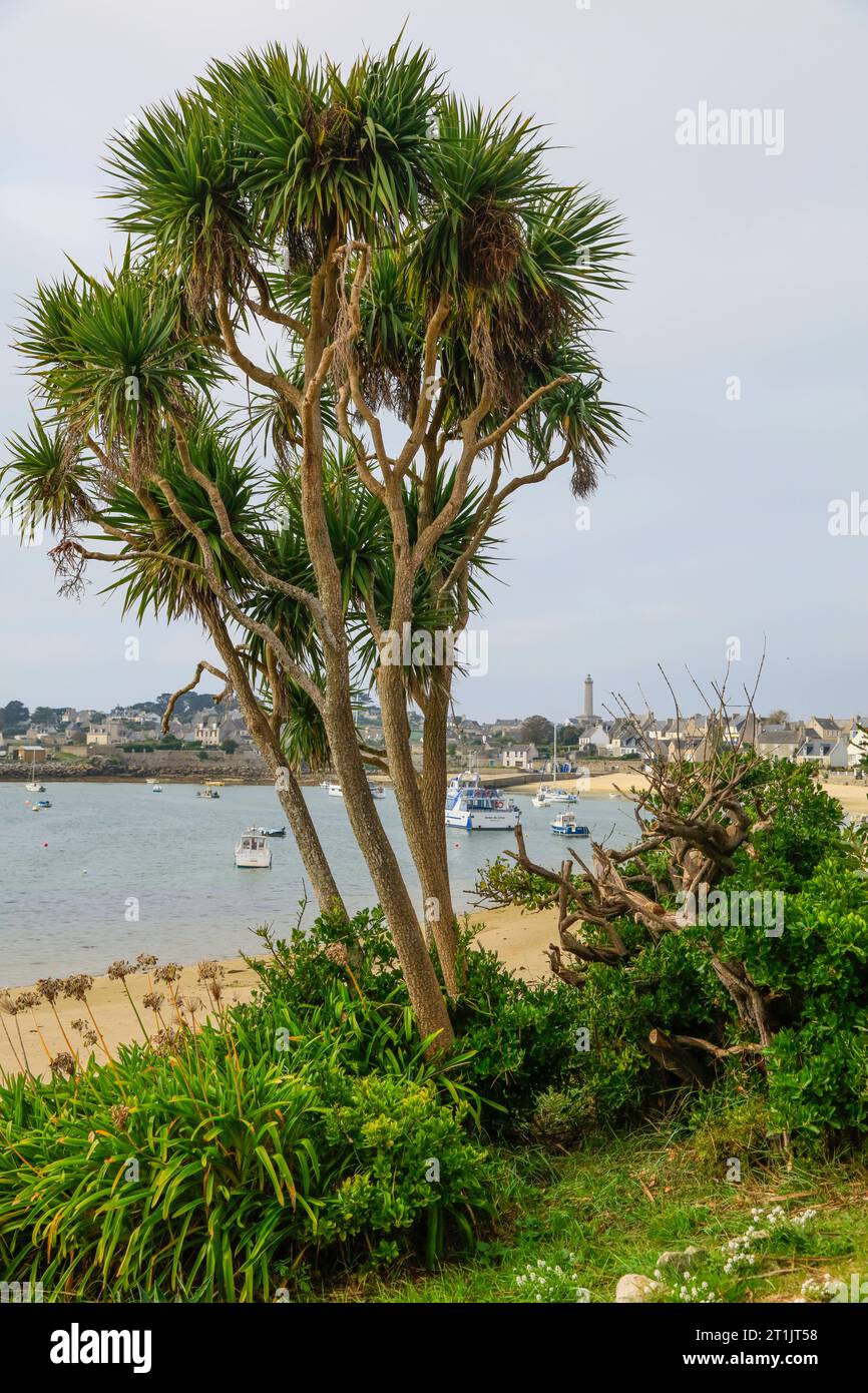 Insel Ile de Batz im Ärmelkanal vor der bretonischen Küste bei Roscoff ...