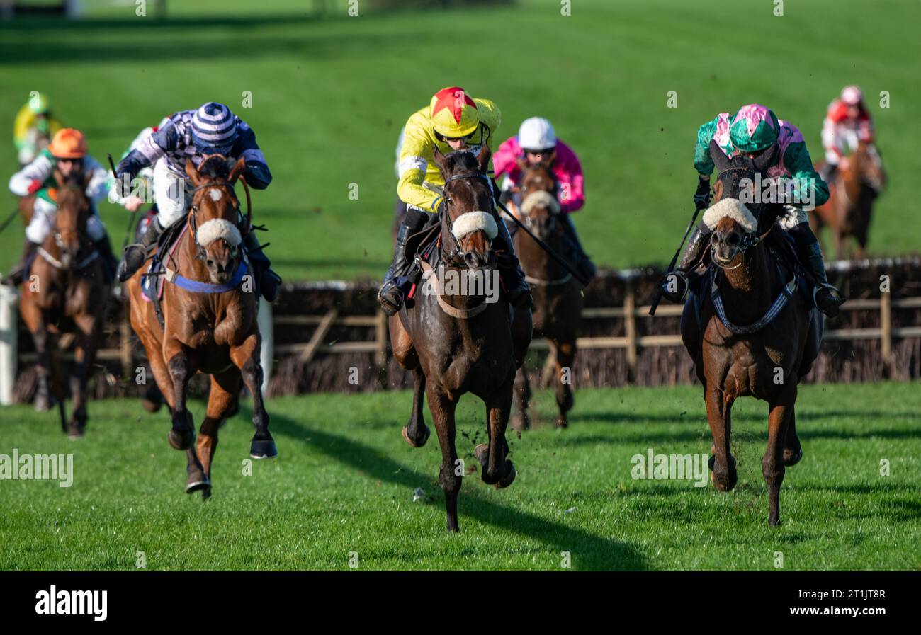 Wasdell Group Silver Trophy Handicap Hurdle, Chepstow Racecourse, Wales ...