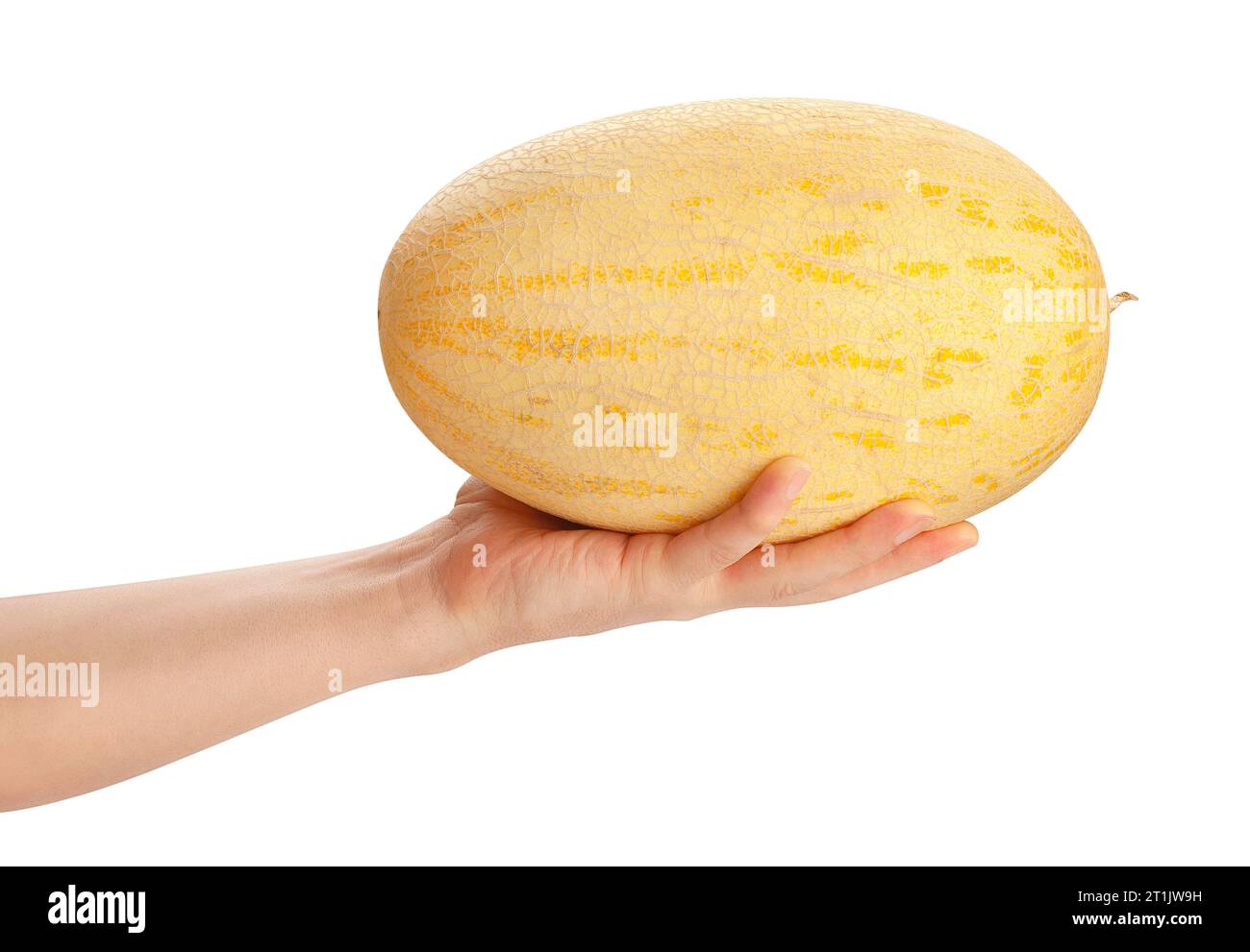 melon in hand path isolated on white Stock Photo - Alamy