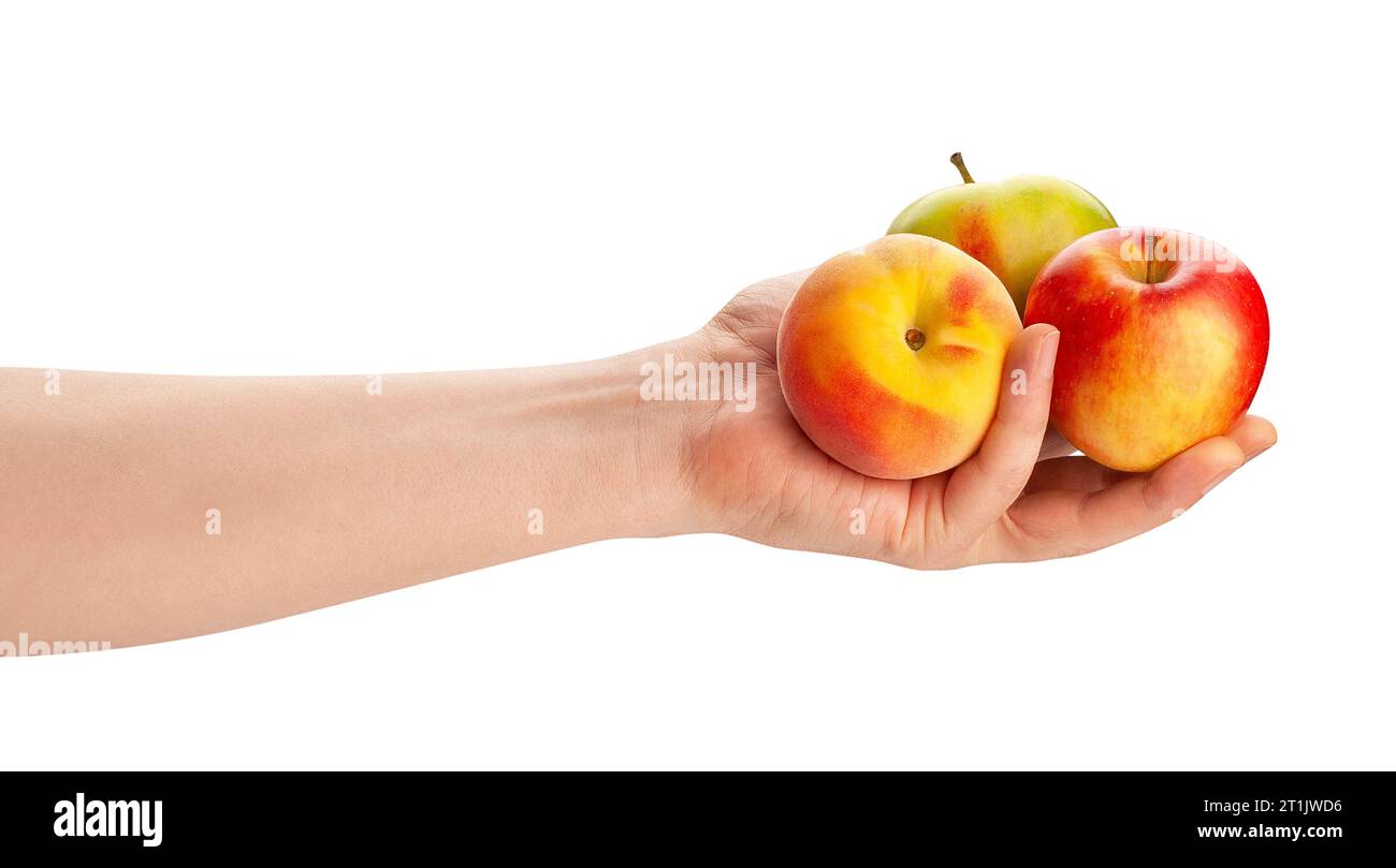apple in hand path isolated on white Stock Photo - Alamy