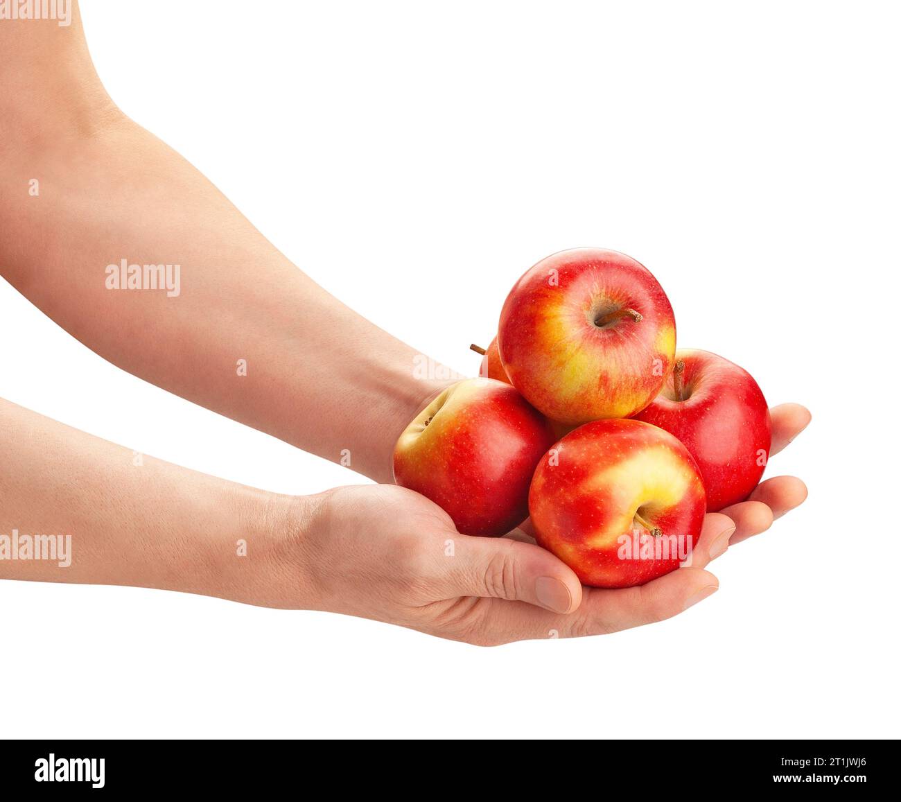 apple heap in hand path isolated on white Stock Photo - Alamy