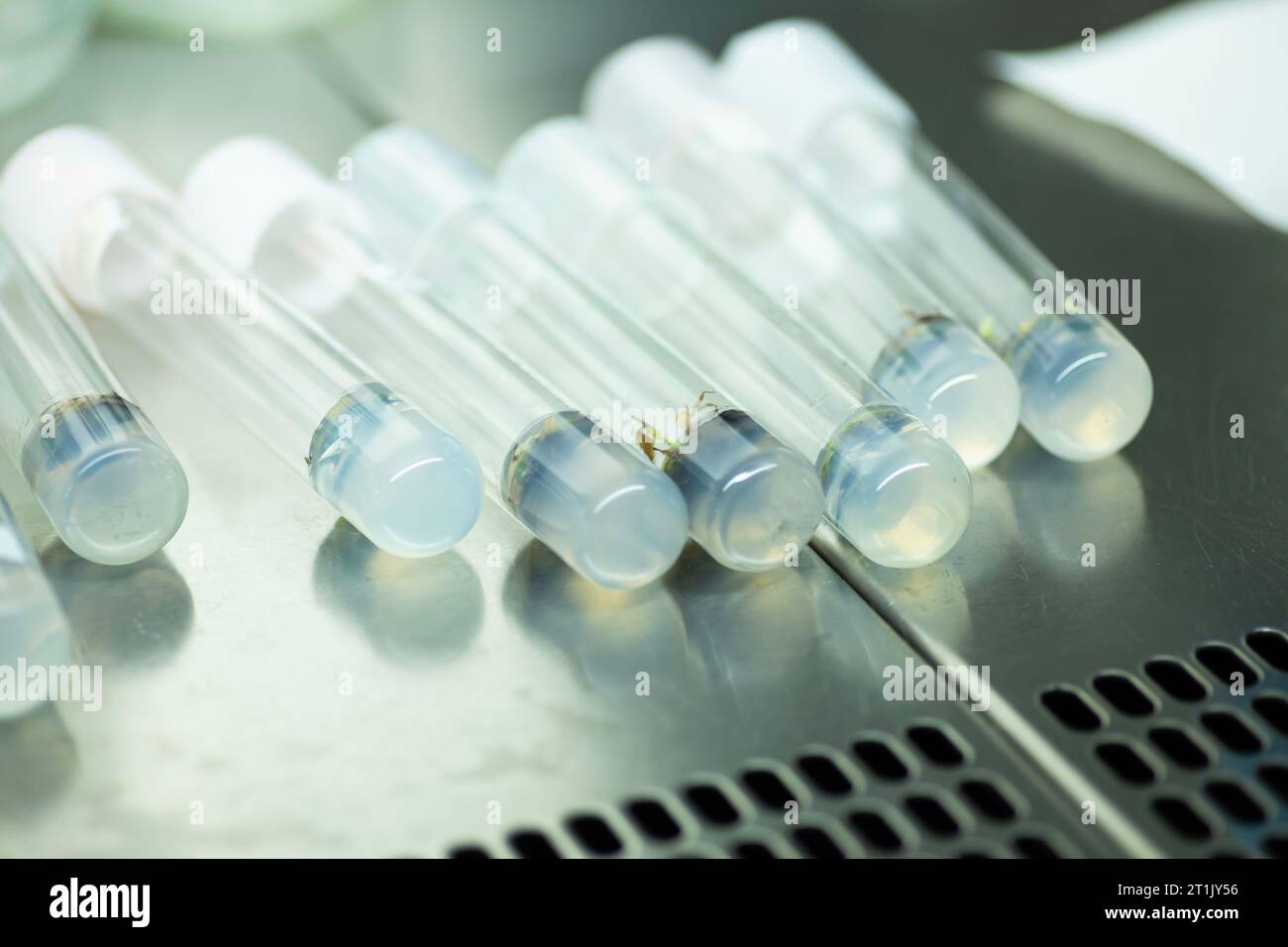 Multiple vials hi-res stock photography and images - Alamy