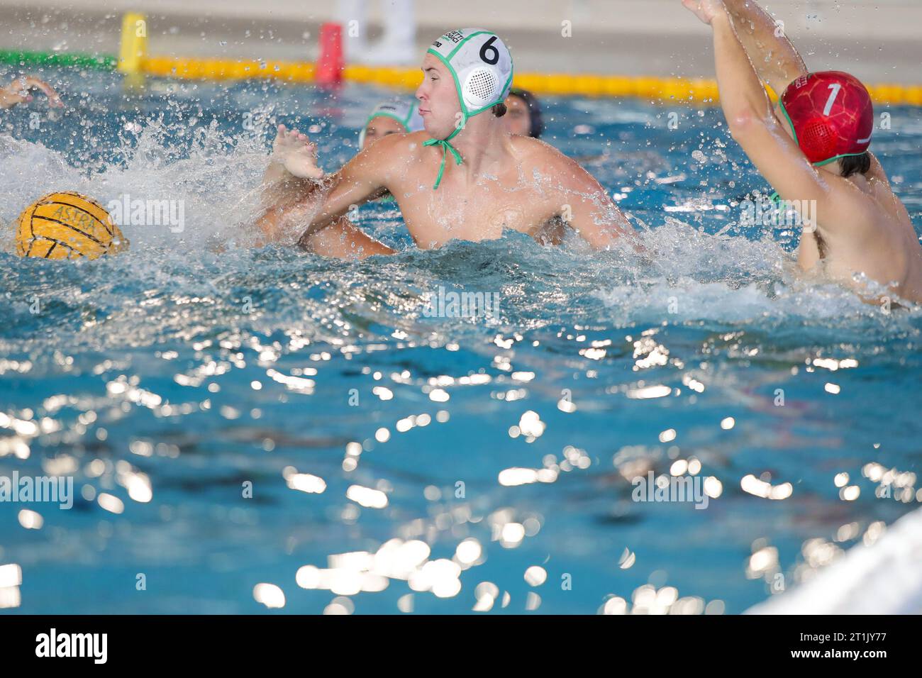 Tártaro hi-res stock photography and images - Alamy