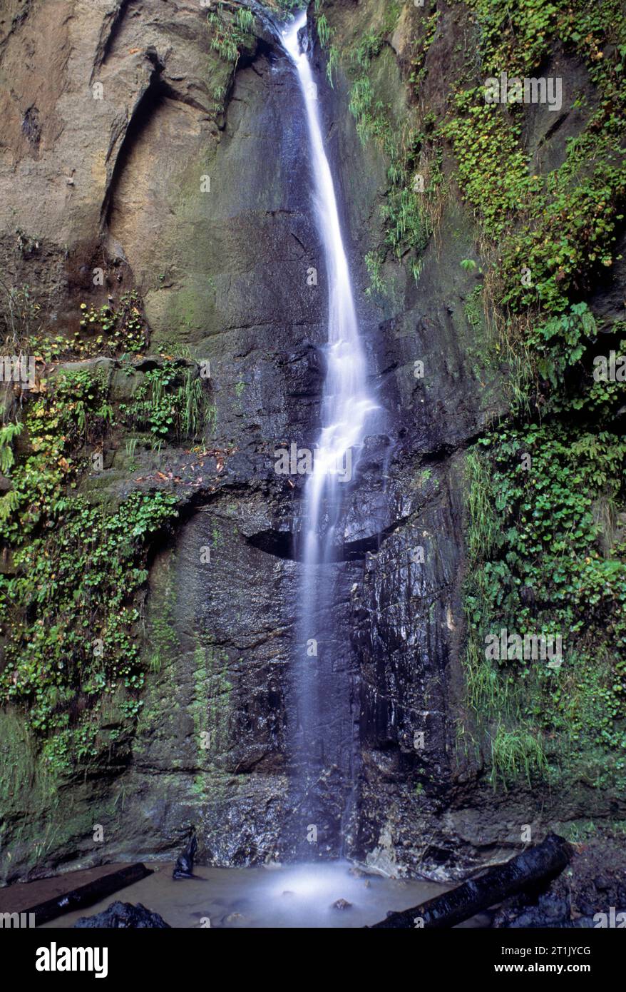 Maple Falls, Forest of Nisese Marks State Park, California Stock Photo ...
