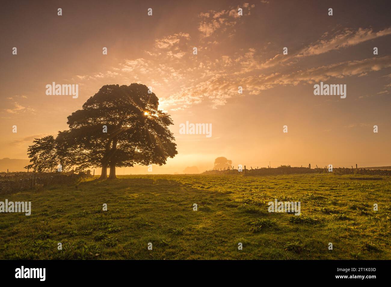 Millers dale peak district hi-res stock photography and images - Alamy