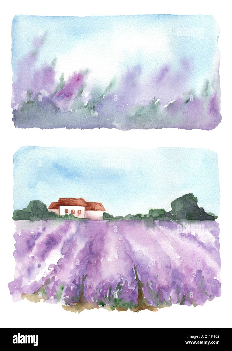 Set of watercolor abstract lavender backgrounds. Delicate lilac hand ...