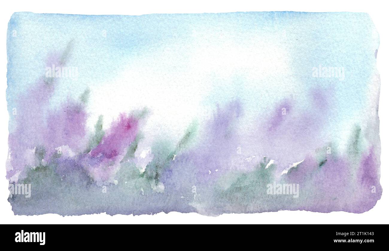 Watercolor illustration of beautiful lavender fields. Abstract purple ...