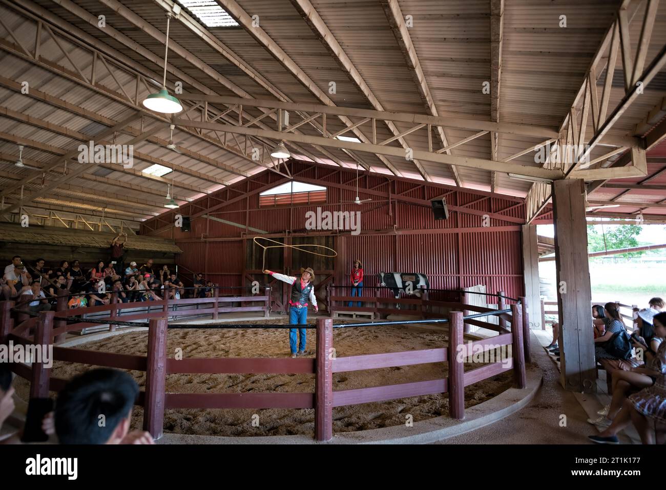 Chok Chai Farm; Thailand - Jun 2; 2019: Cowboy show at Chok Chai Farm ...