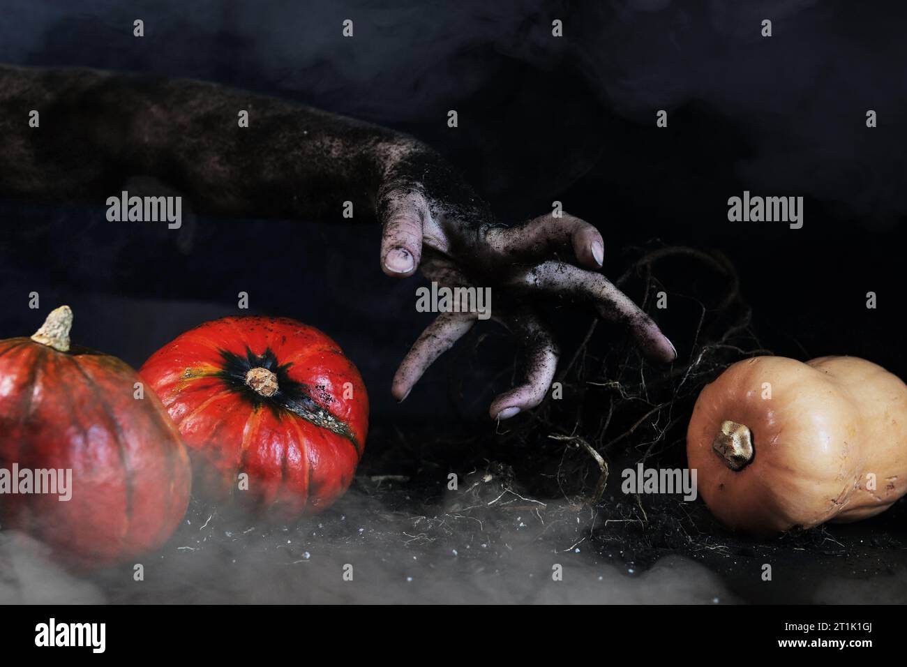 Zombie hand comes out of the grave. Halloween holiday event concept ...