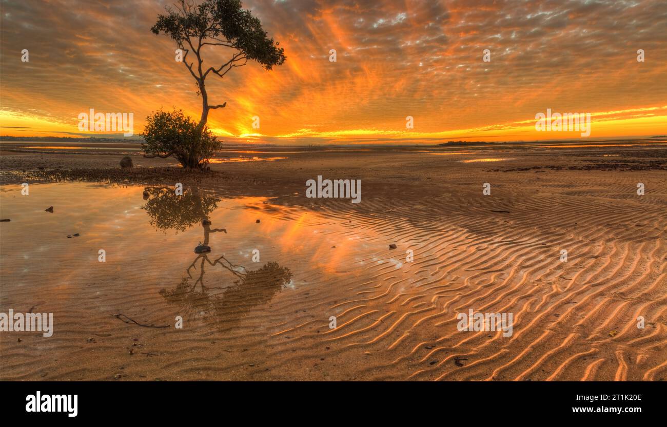 Redlands brisbane hi-res stock photography and images - Alamy