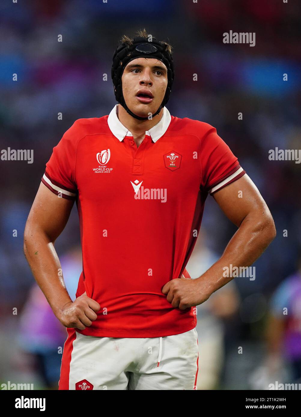 Wales' Dafydd Jenkins shows his dejection after the Rugby World Cup ...