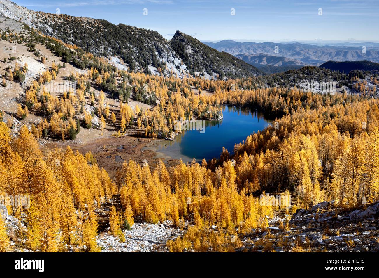 WA24583-00....WASHINGTON - Larch trees above Cooney Lake form the ...