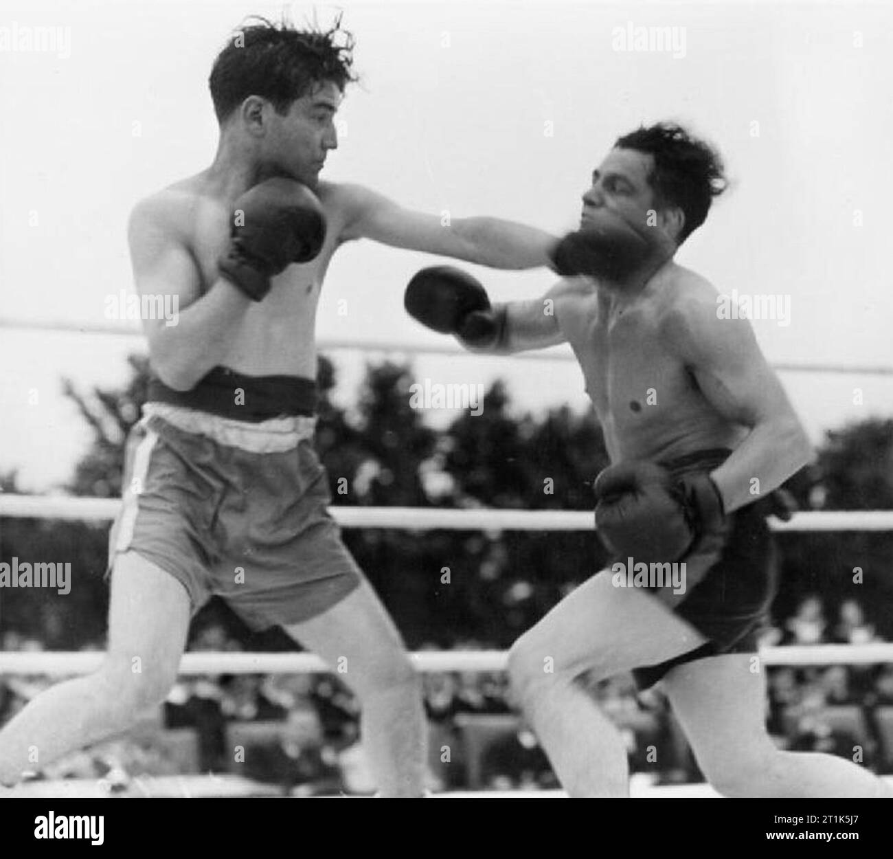 Boxing Tournament in Aid of King George's Fund For Sailors at the Royal ...