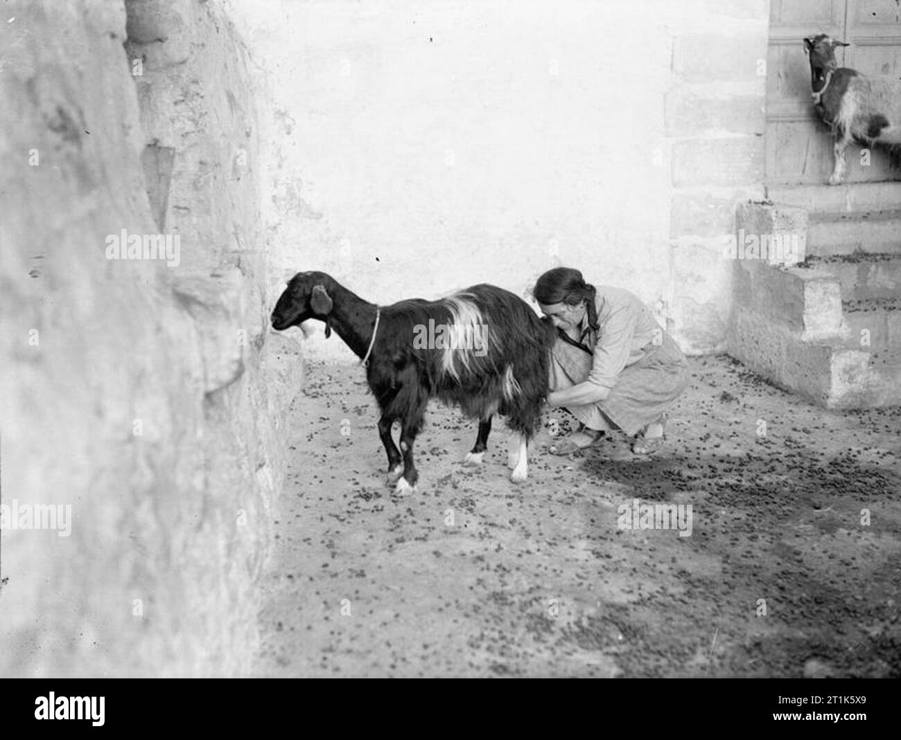 Malta's Brave Visage- Everyday Life on the George Cross Island. 17 ...