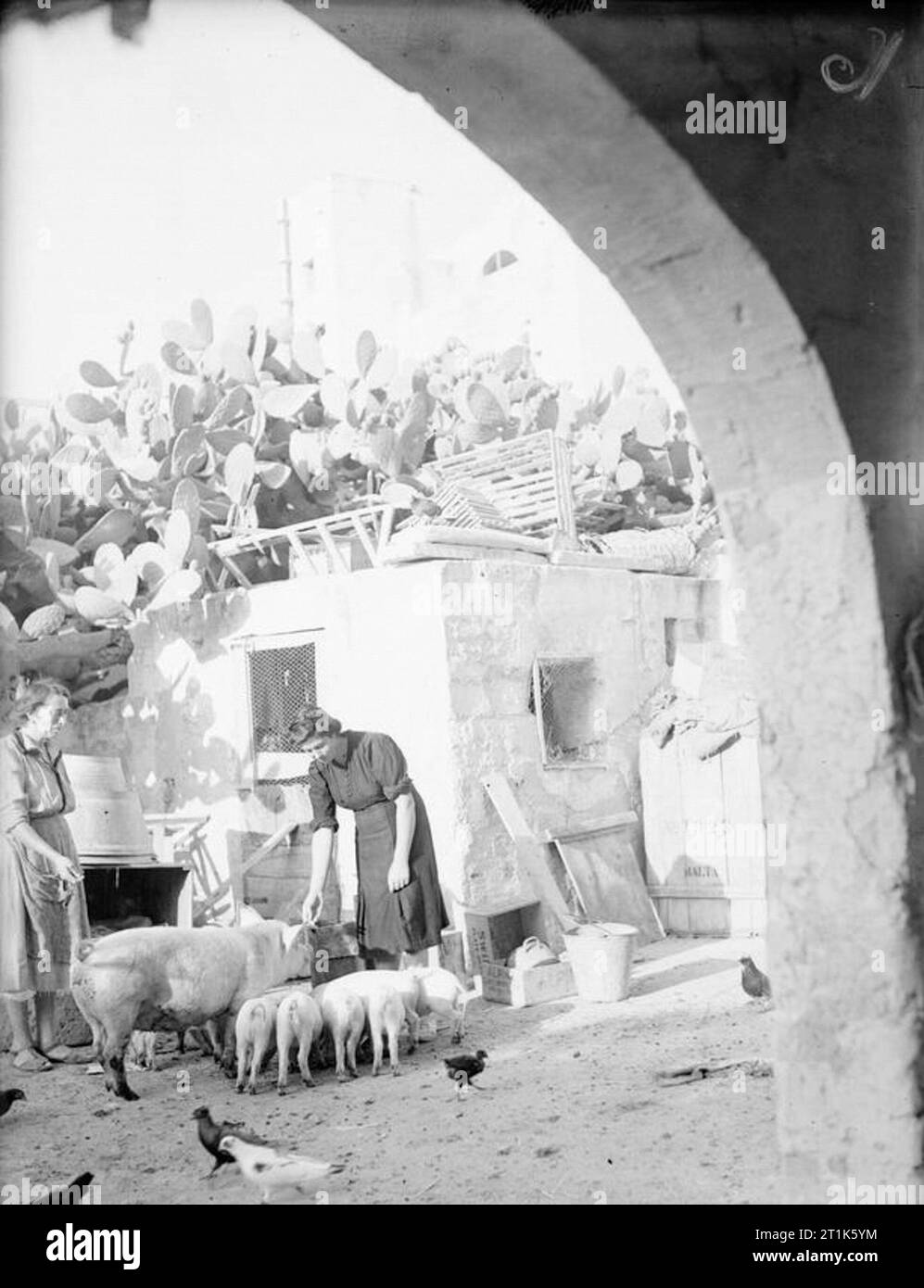 Malta's Brave Visage- Everyday Life on the George Cross Island. 17 ...