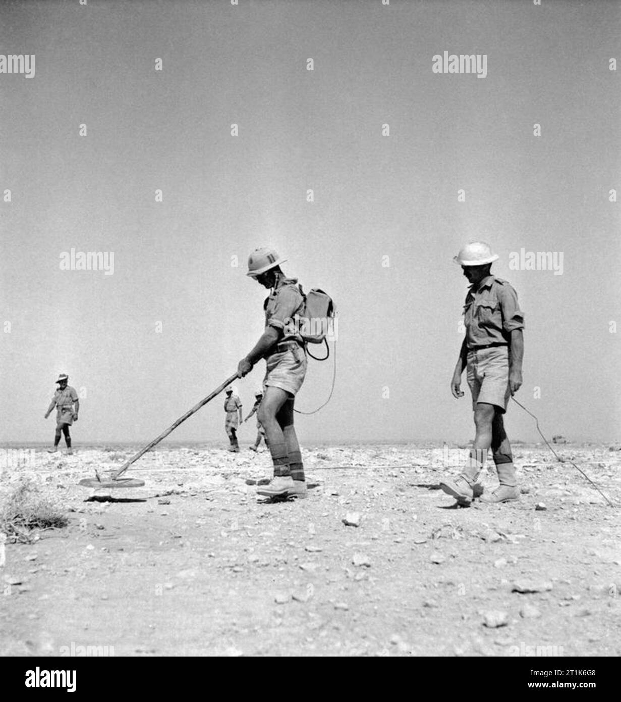 South African Forces in North Africa during the Second World War South ...
