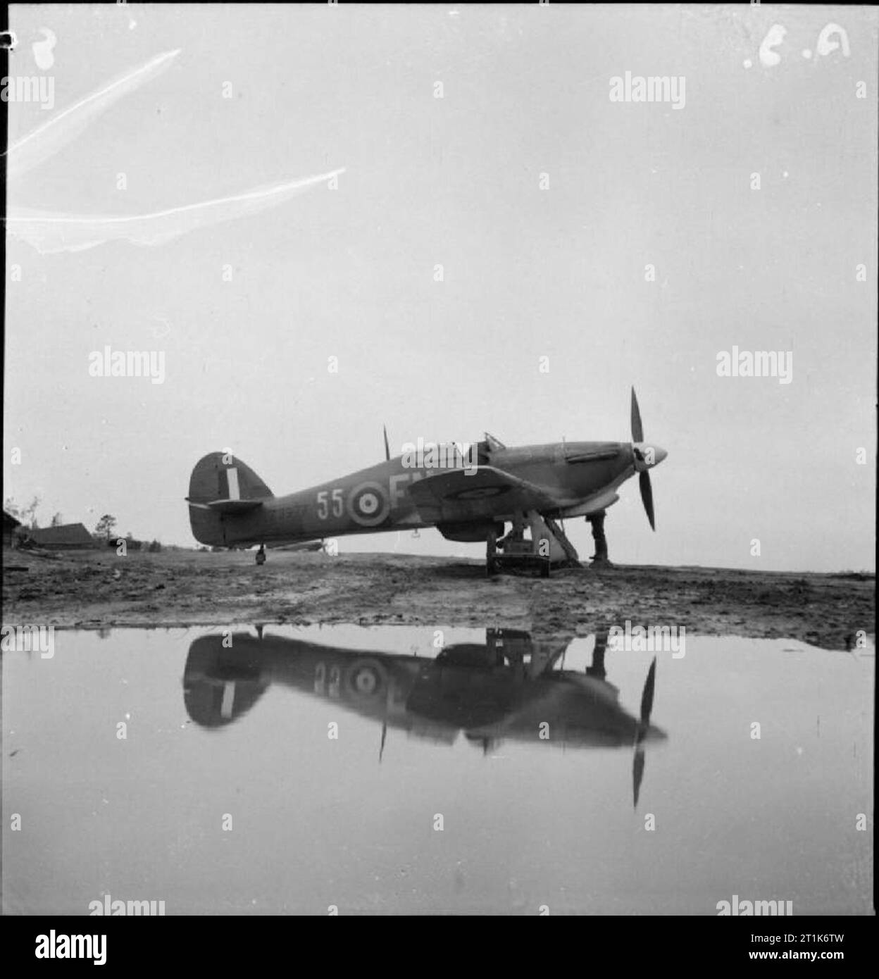 Tropicalised hi-res stock photography and images - Alamy