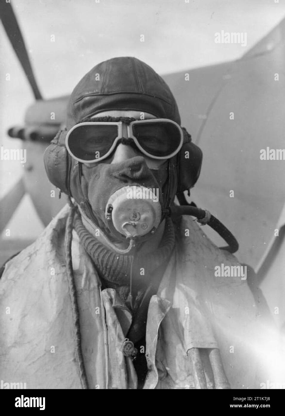 Royal Air Force 1939-1945- Fighter Command Flight Lieutenant Walter ...