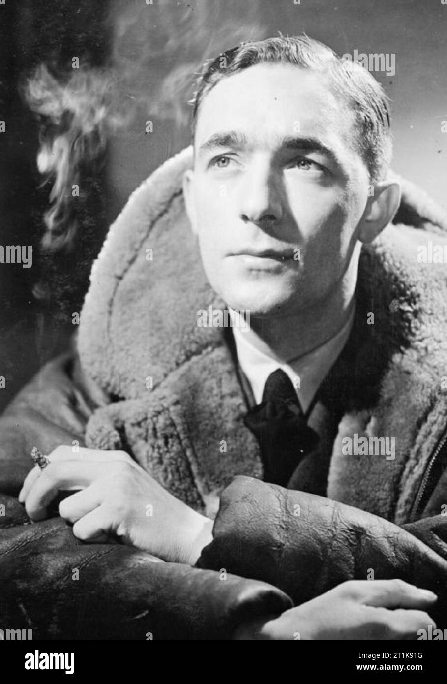 Royal Air Force Fighter Command, 1939-1945. Head and shoulders portrait ...