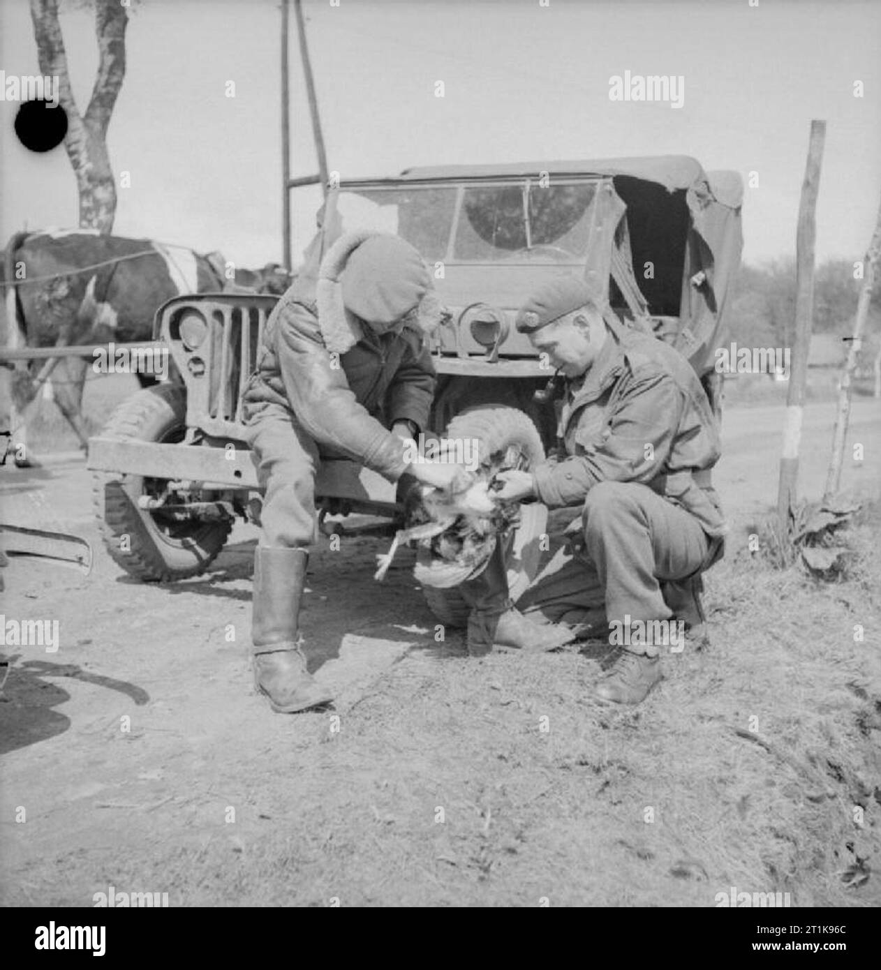 The British Army Film and Photographic Unit 1941 - 1947 Army Film and ...