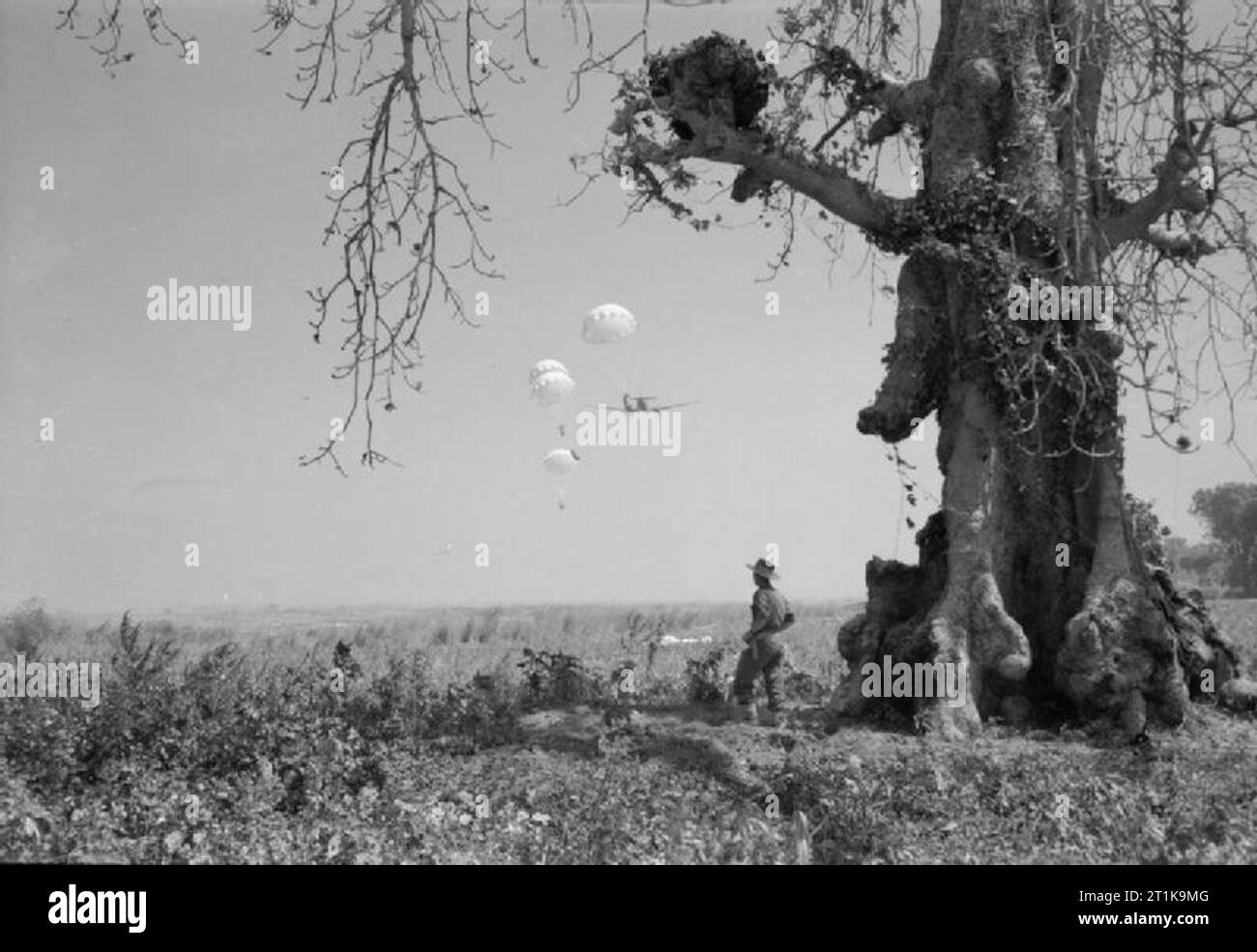 Royal Air Force Operations in the Far East, 1941-1945 A Douglas Dakota ...