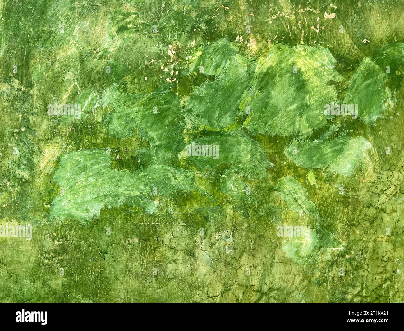 Green Plaster Wall Paint Texture Background Stock Photo - Alamy