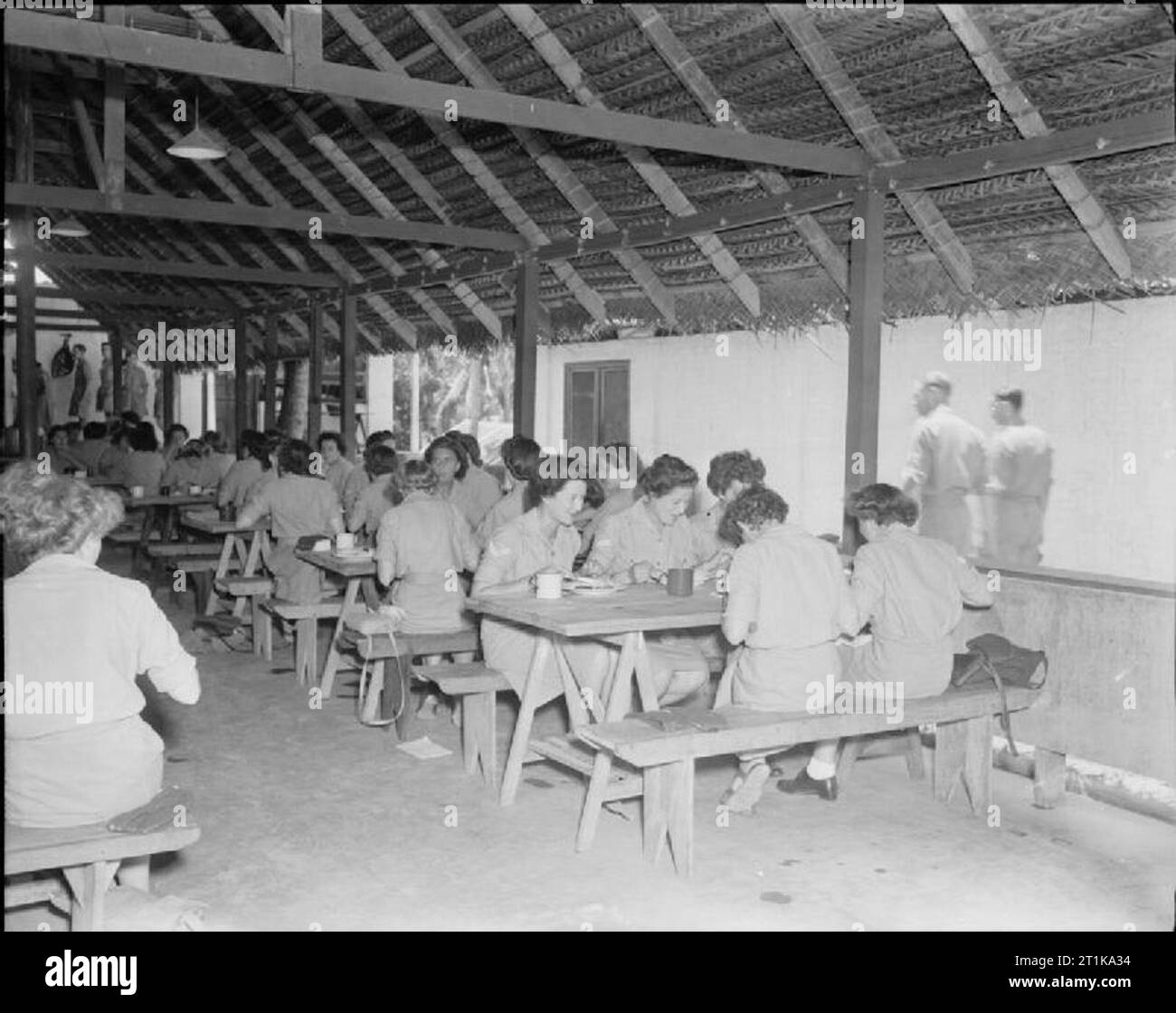 Royal Air Force Operations in the Far East, 1941-1945. Members of the ...