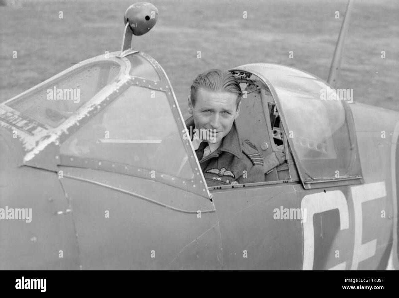 Royal Air Force- 2nd Tactical Air Force, 1943-1945. Wing Commander R H ...