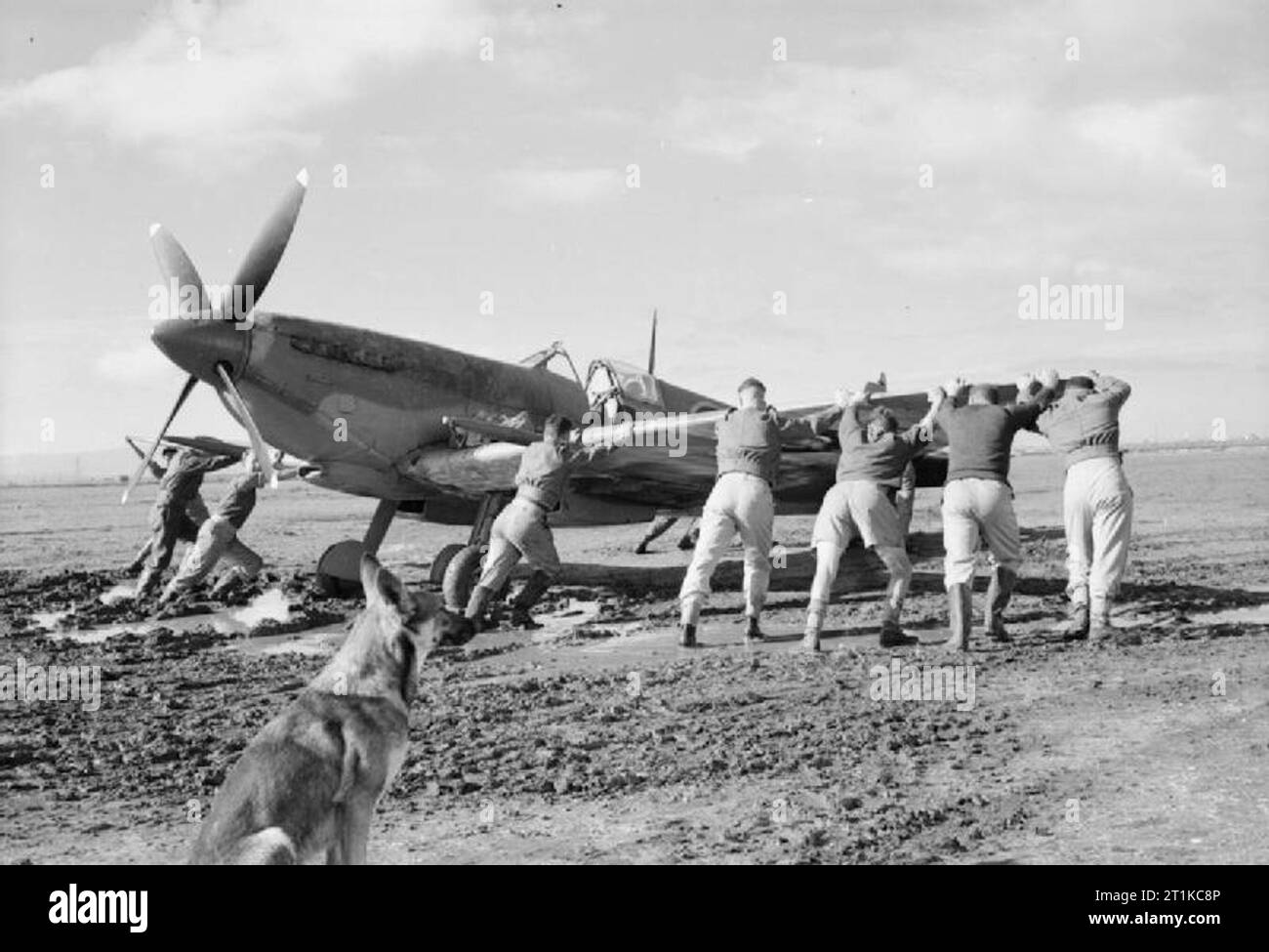 Royal Air Force- Italy, the Balkans and South-east Europe, 1942-1945 ...