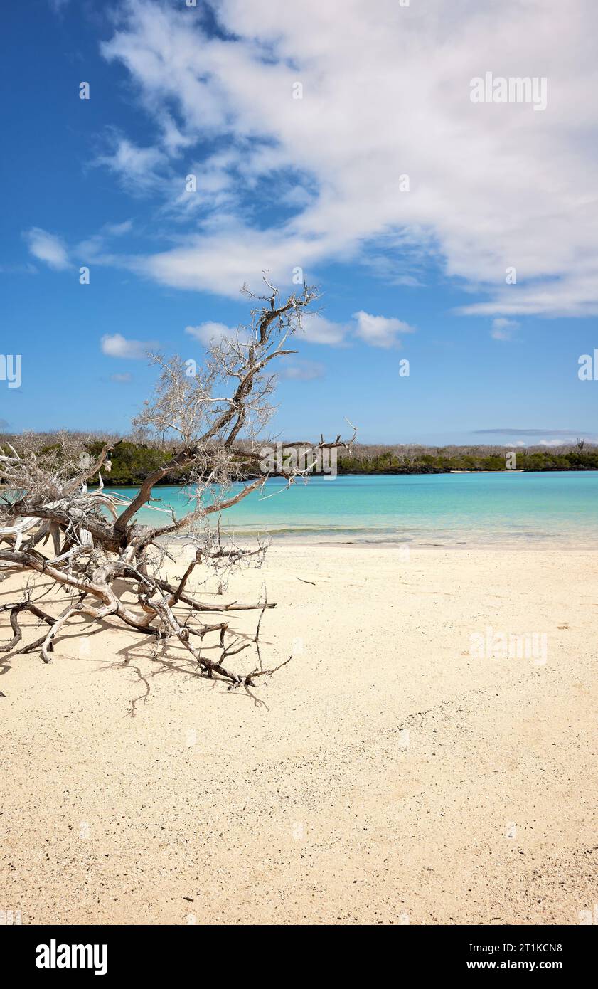 Beach on a beautiful uninhabited island, Galapagos Islands, Ecuador ...