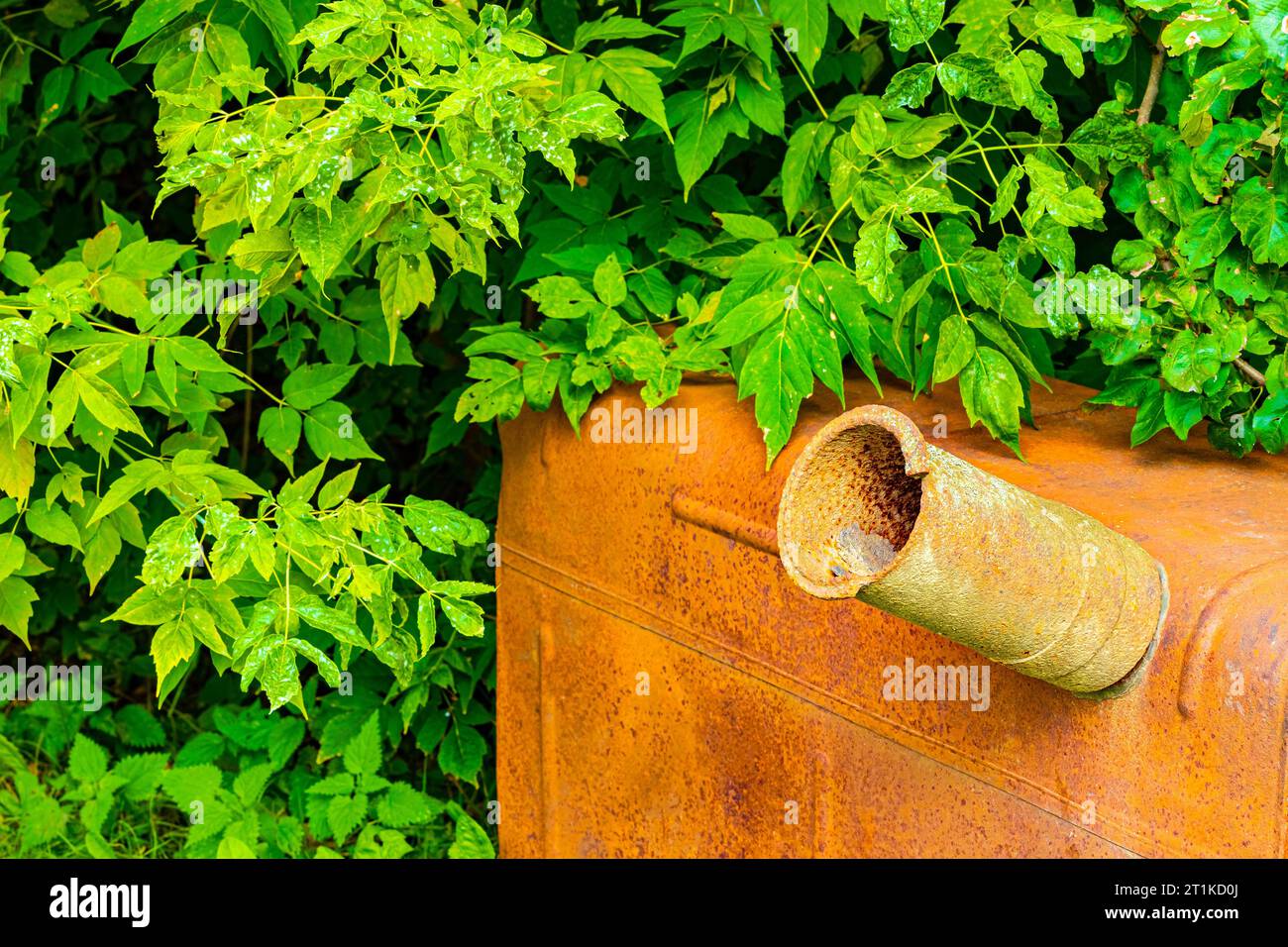 rusty fuel tank against a background of green vegetation. fuel filler ...