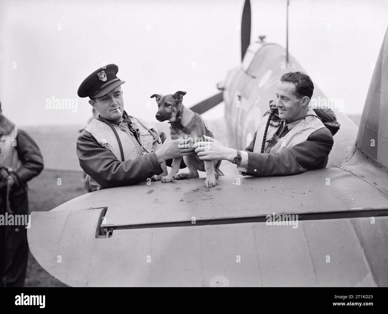 The 303 Polish Fighter Squadron in the Battle of Britain In the summer ...