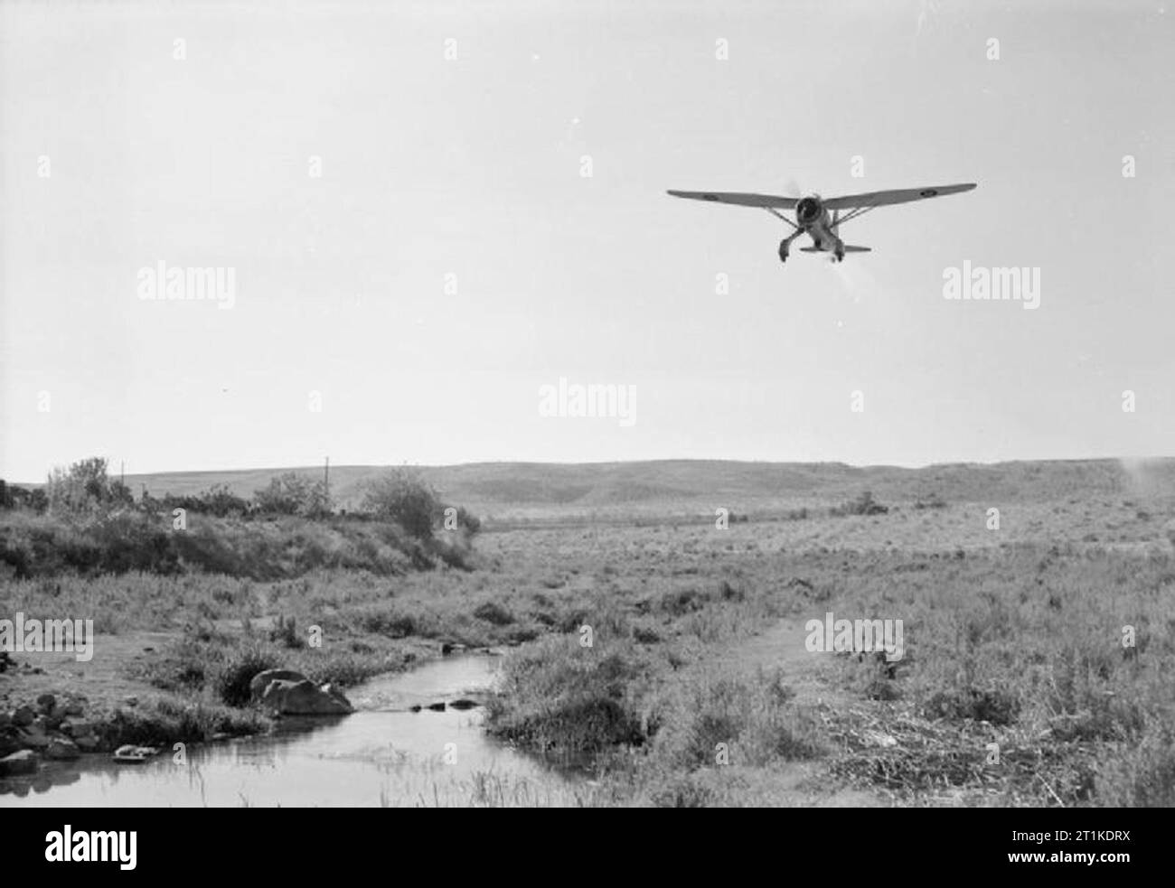 Malaria carrying mosquitos hi-res stock photography and images - Alamy