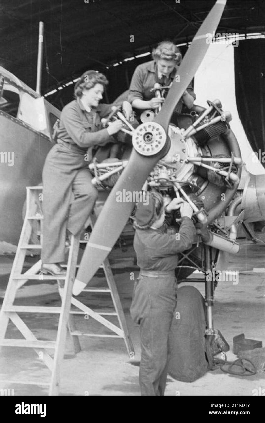 Women on the Home Front 1939 - 1945 The Women's Auxiliary Air Force ...