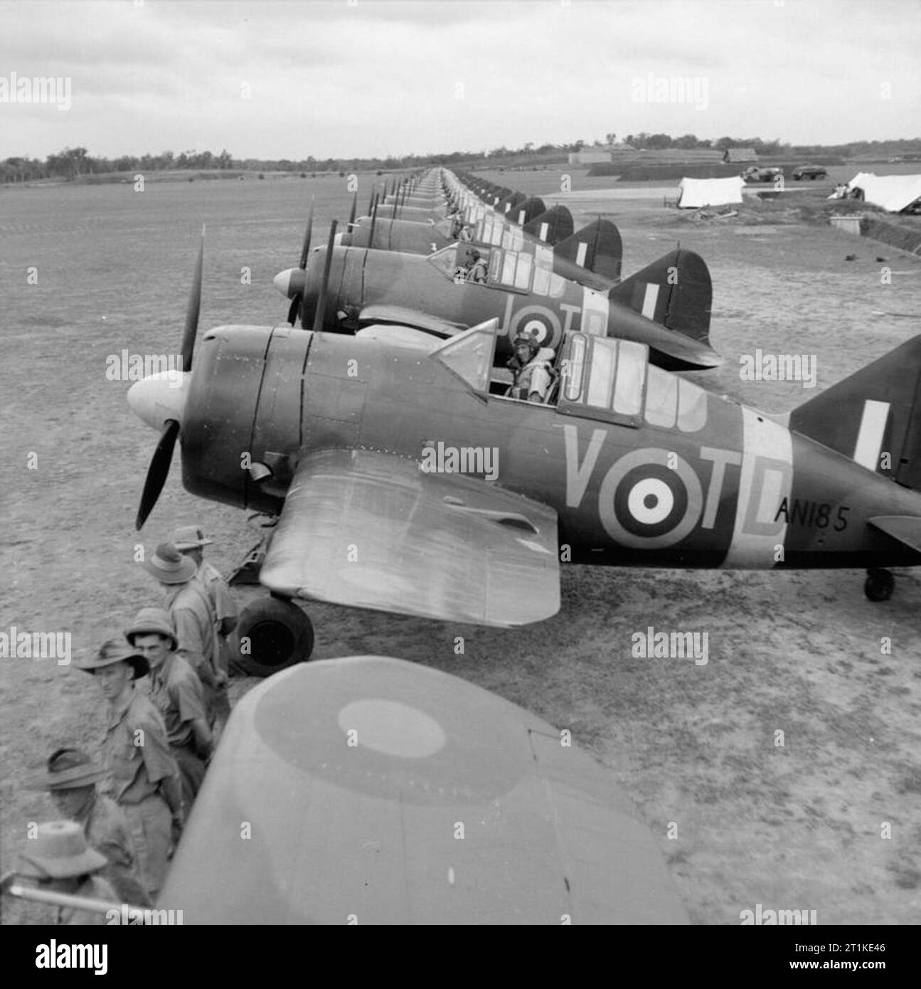 American Aircraft in RAF Service 1939-1945- Brewster Model 339 Buffalo ...