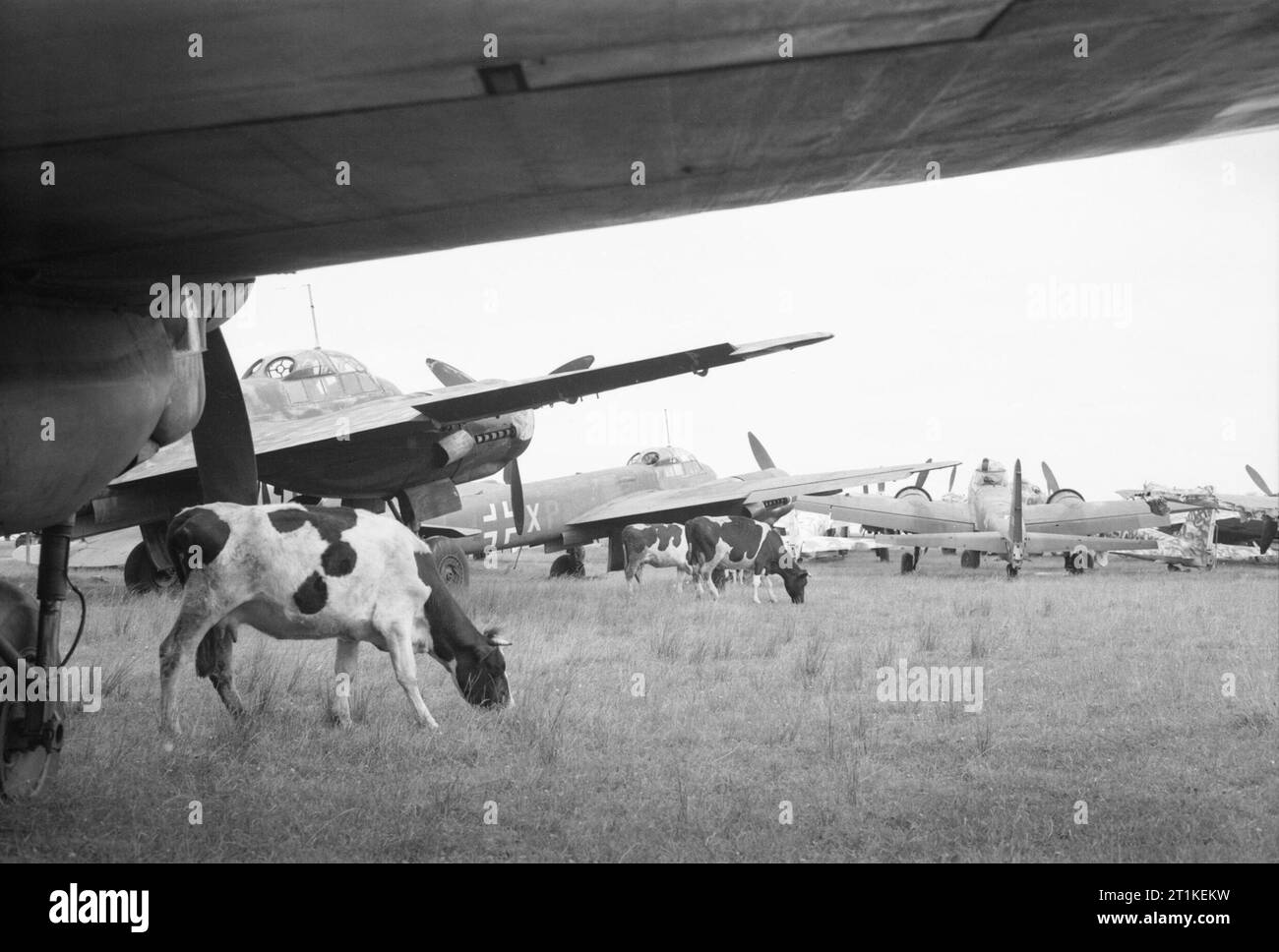 Junkers 88 bombers Black and White Stock Photos & Images - Alamy