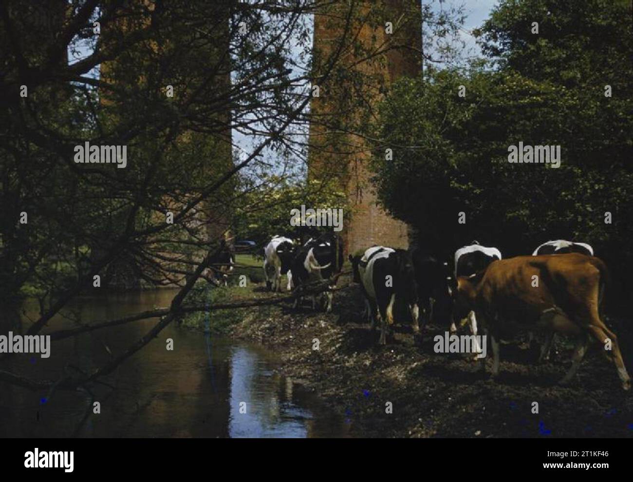 Farming in Britain during the Second World War On William Alexander's ...