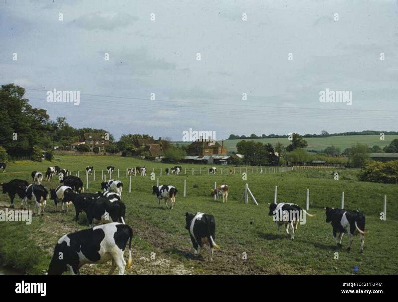 Farming in Britain during the Second World War On William Alexander's ...