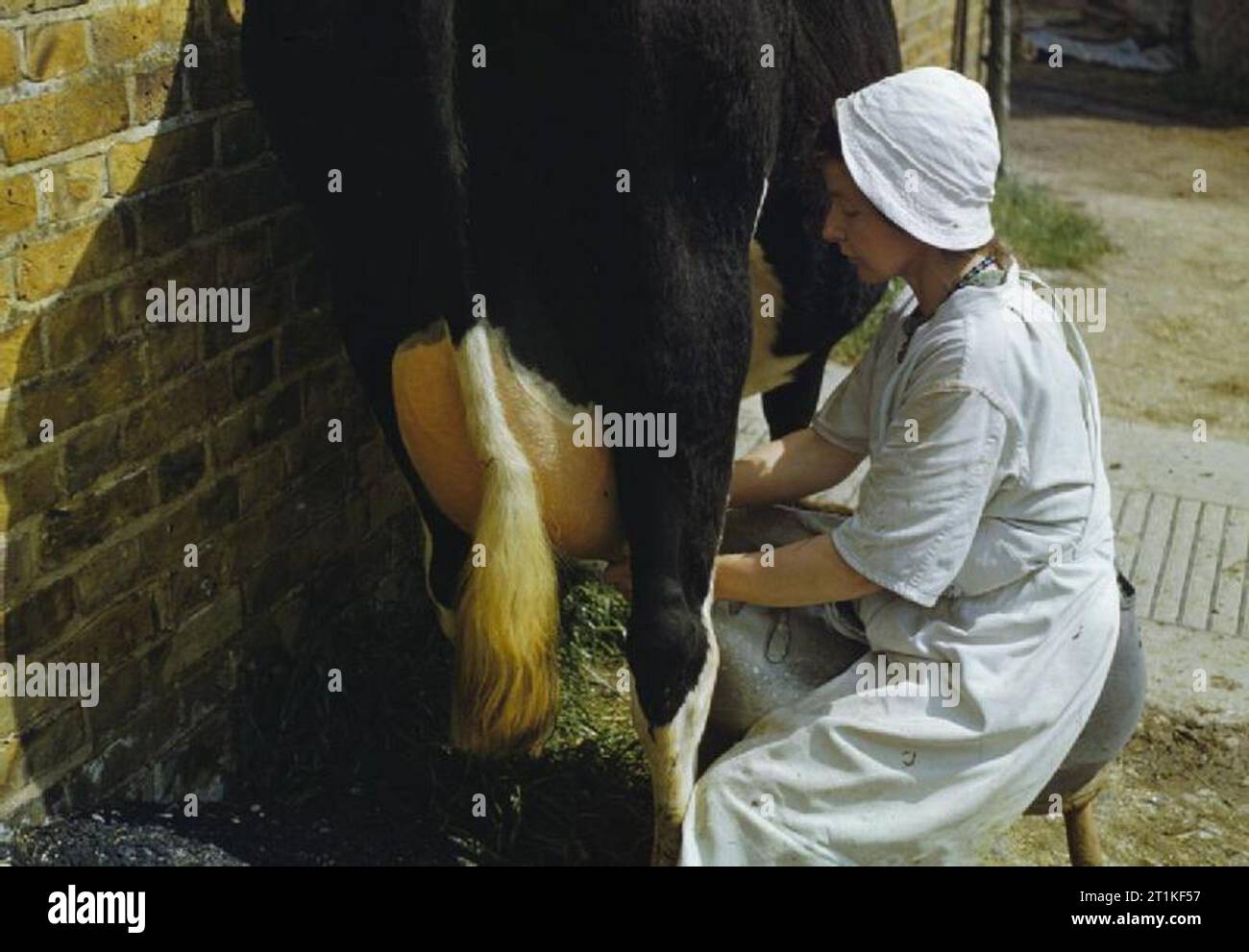 Farming in Britain during the Second World War On William Alexander's ...