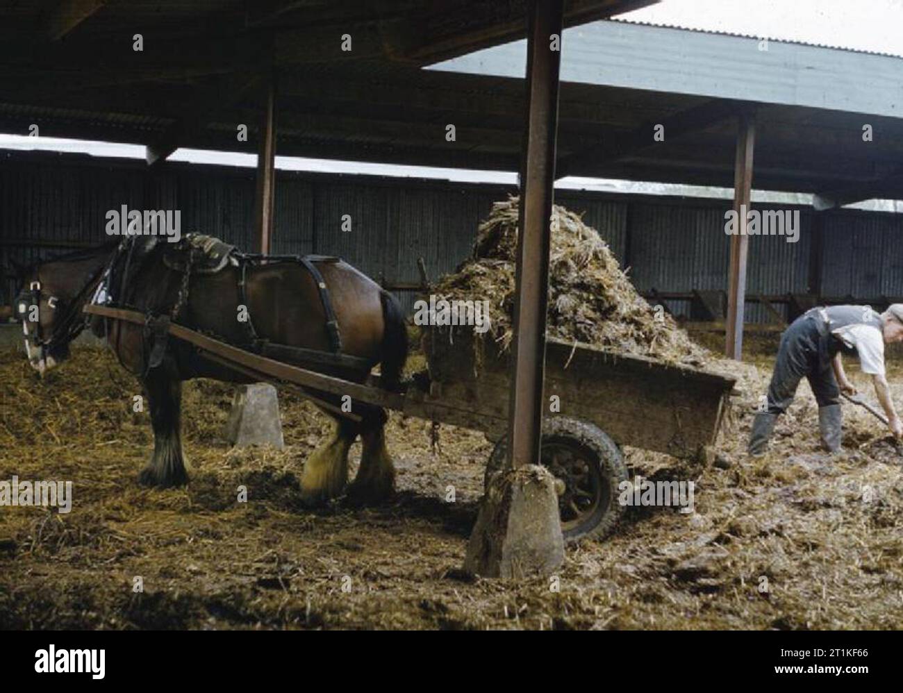 Farming in Britain during the Second World War On William Alexander's ...