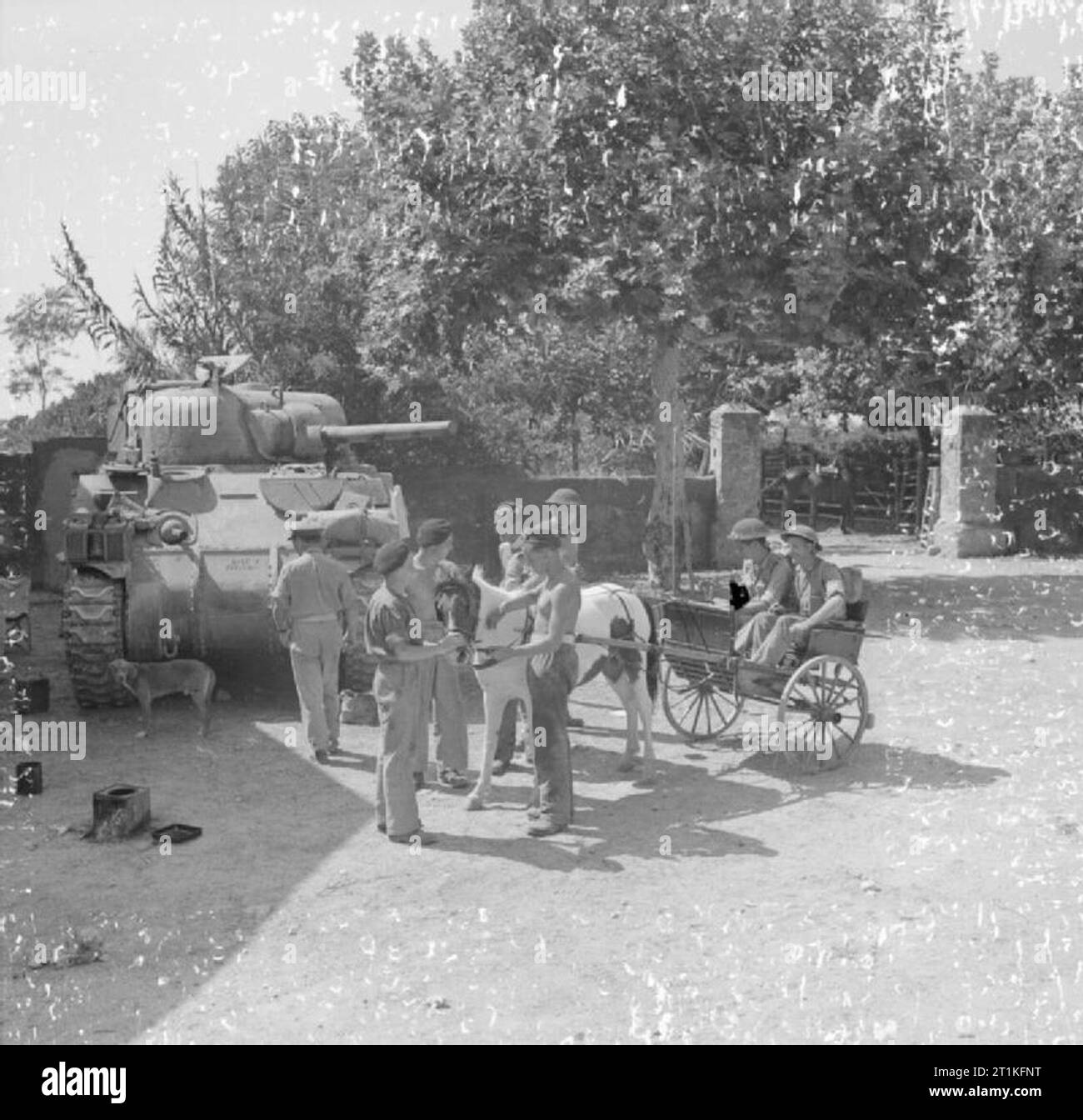 The British Army in Italy 1943 A Sherman tank crew from the Scots Greys ...