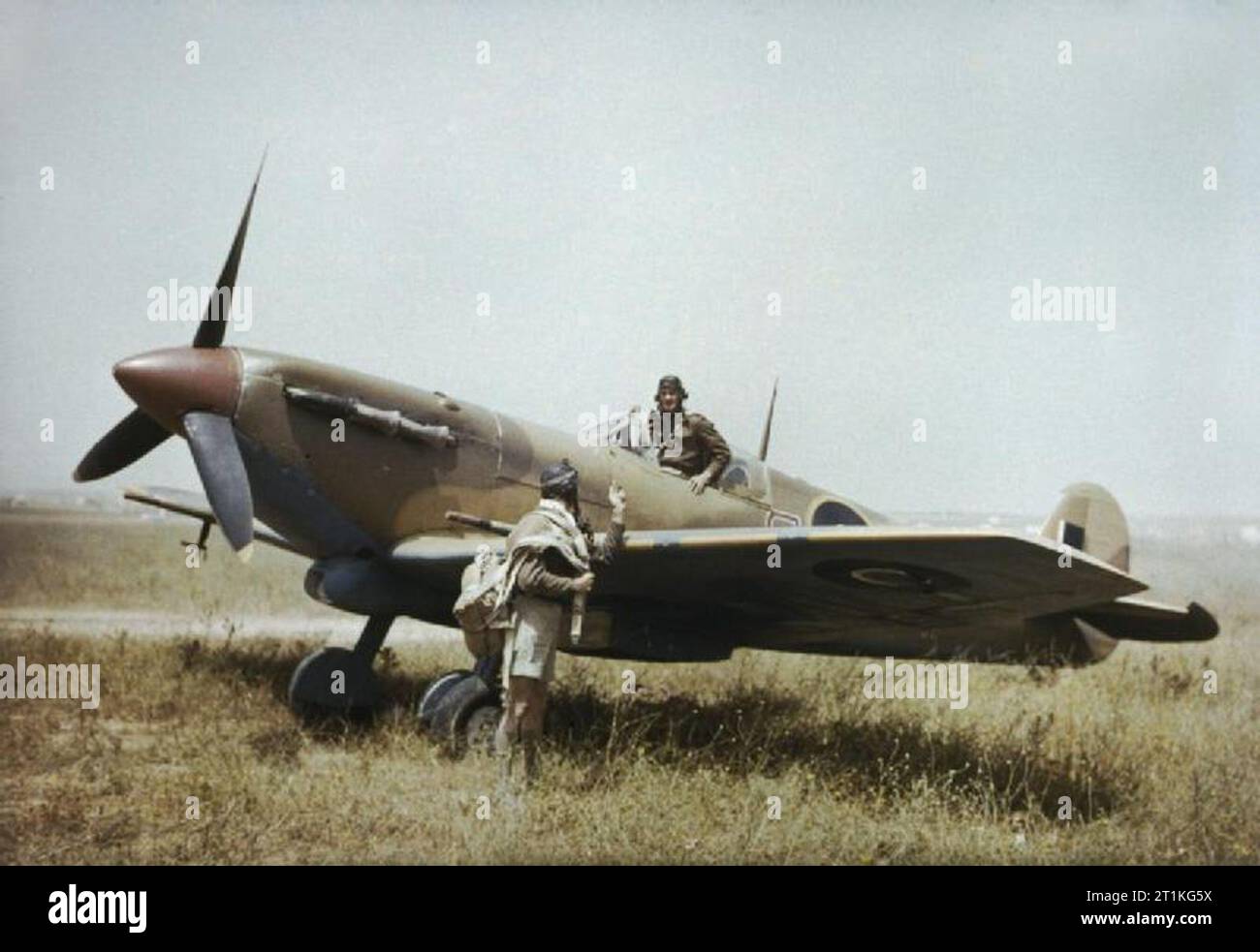 Supermarine Spitfire Mk V and pilots of No. 40 Squadron, South African ...