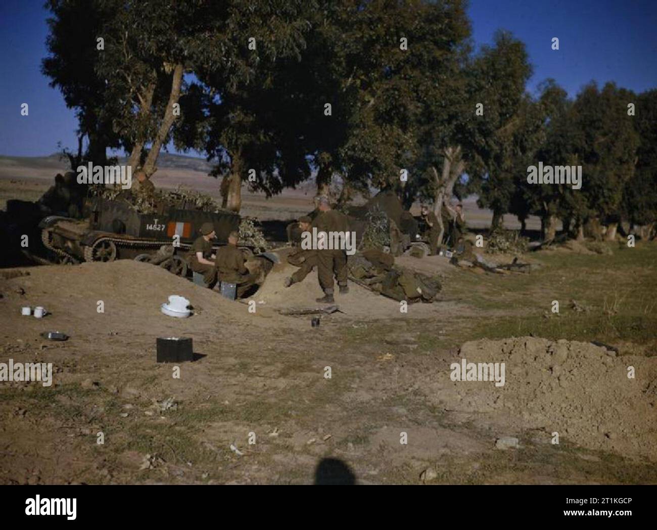 The British Army in North Africa, January 1943 Under cover of trees ...