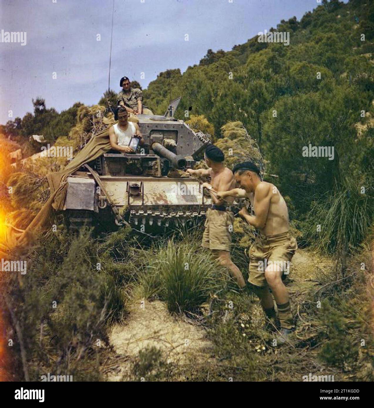 'THE BRITISH ARMY IN NORTH AFRICA, 1943: THE DRIVE ON TUNIS. Sergeant ...