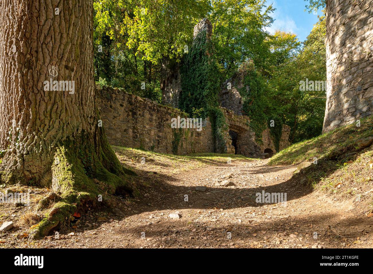 Ruin Rodenstein, A scenic Castle in the Odenwald Stock Photo - Alamy