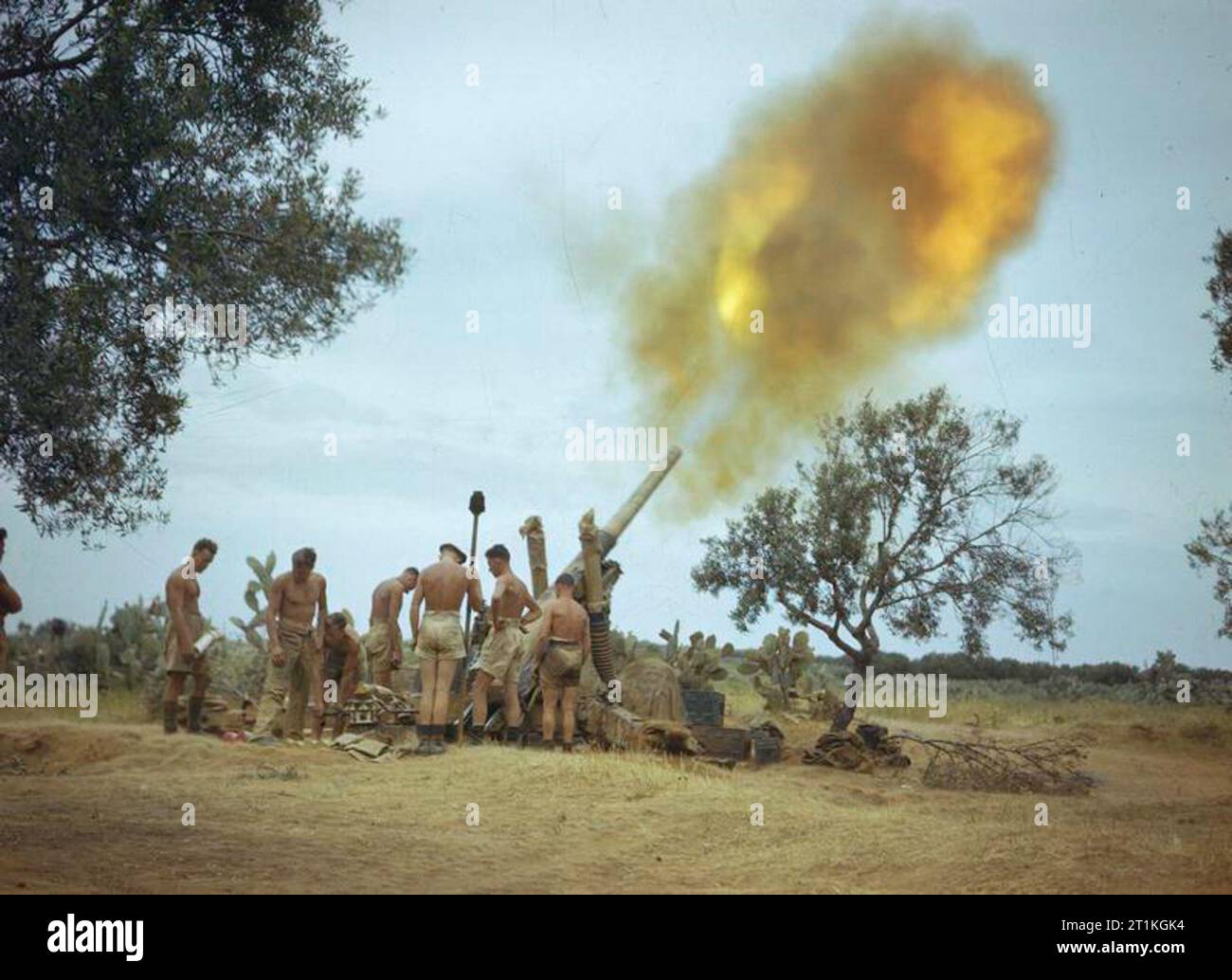 Collaboration of Royal Air Force Spitfires and the Eighth Army, Tunisia ...