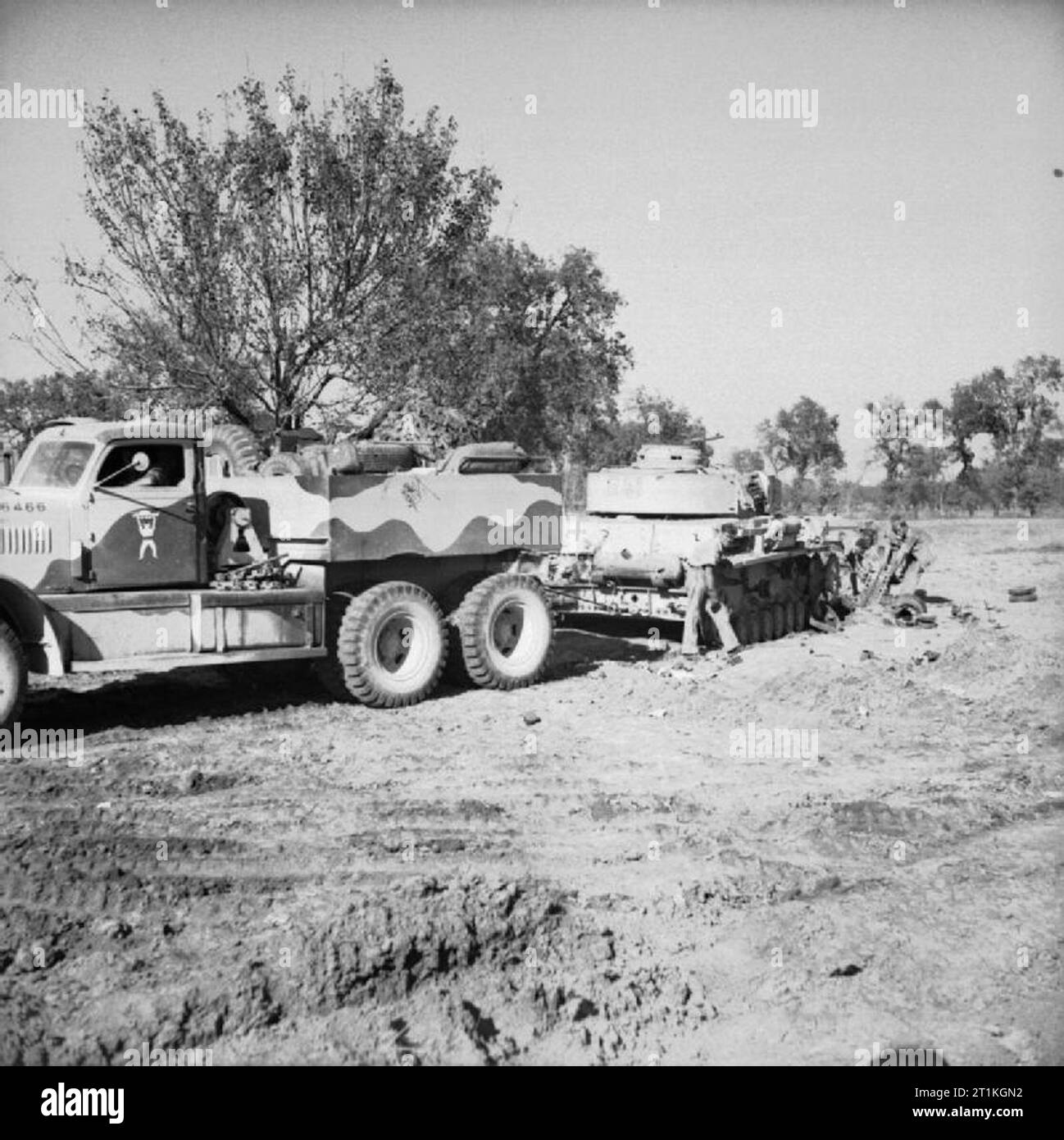 The British Army in Italy 1943 A Diamond T tractor of 372 Tank ...