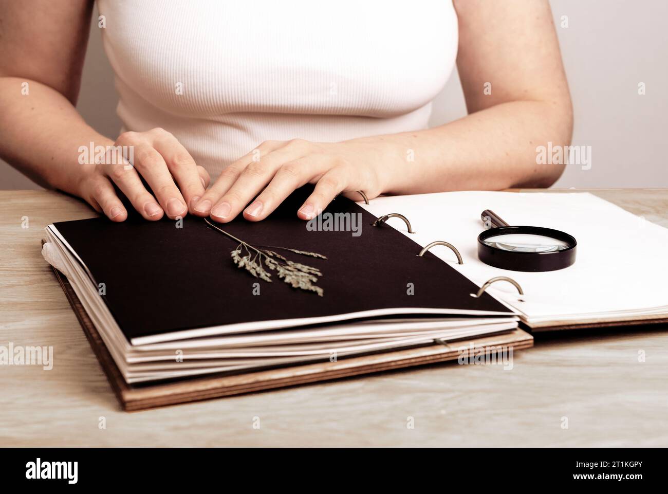 Hands with herbarium book, field herb sticking to paper page, dry ...
