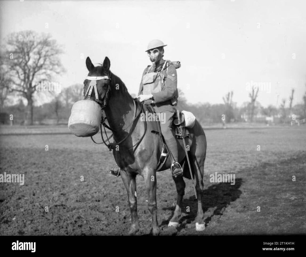 The British Army in the United Kingdom 1939-45 A mounted lance corporal ...