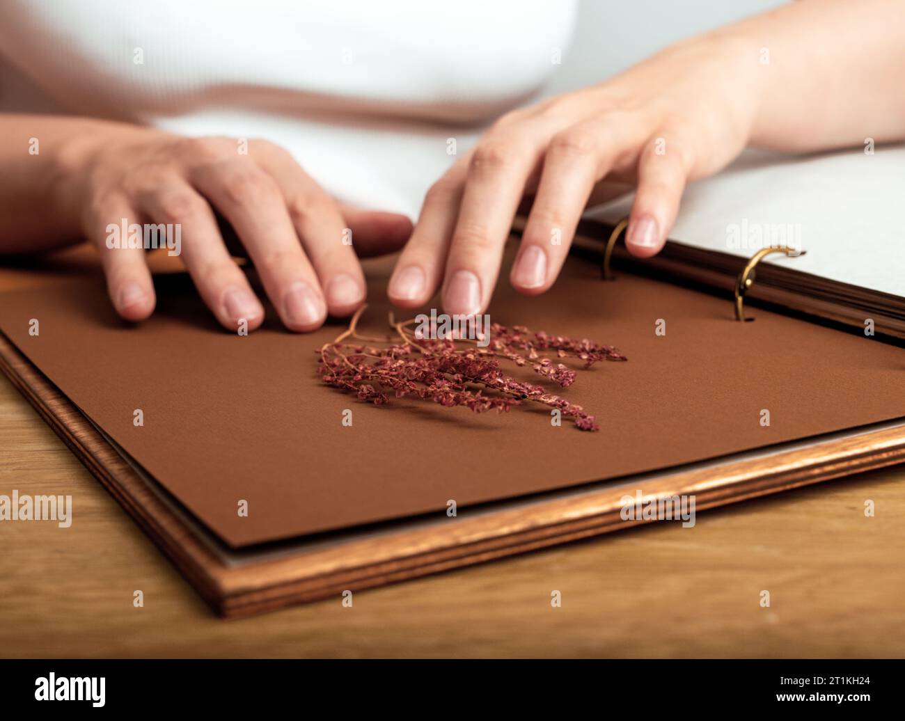 Hand with dry plant, dried pressed flower for botany album, herbarium ...